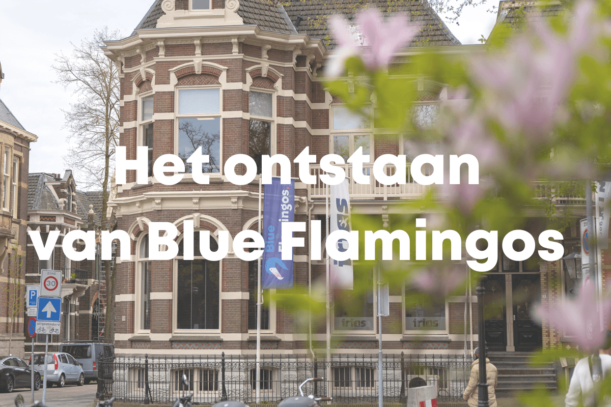 Van crisis naar kans: het ontstaan van Blue Flamingos